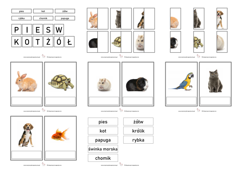 Zwierzęta domowe (62 strony) PDF - Inspiracje terapeutyczne Zwierzęta domowe (62 strony) PDF - Inspiracje terapeutyczne